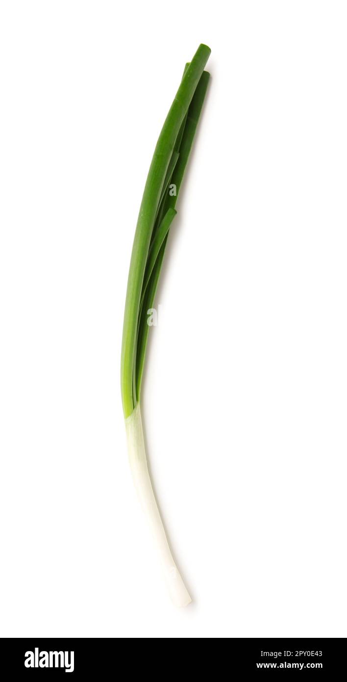 Fresh green onion isolated on white background Stock Photo - Alamy