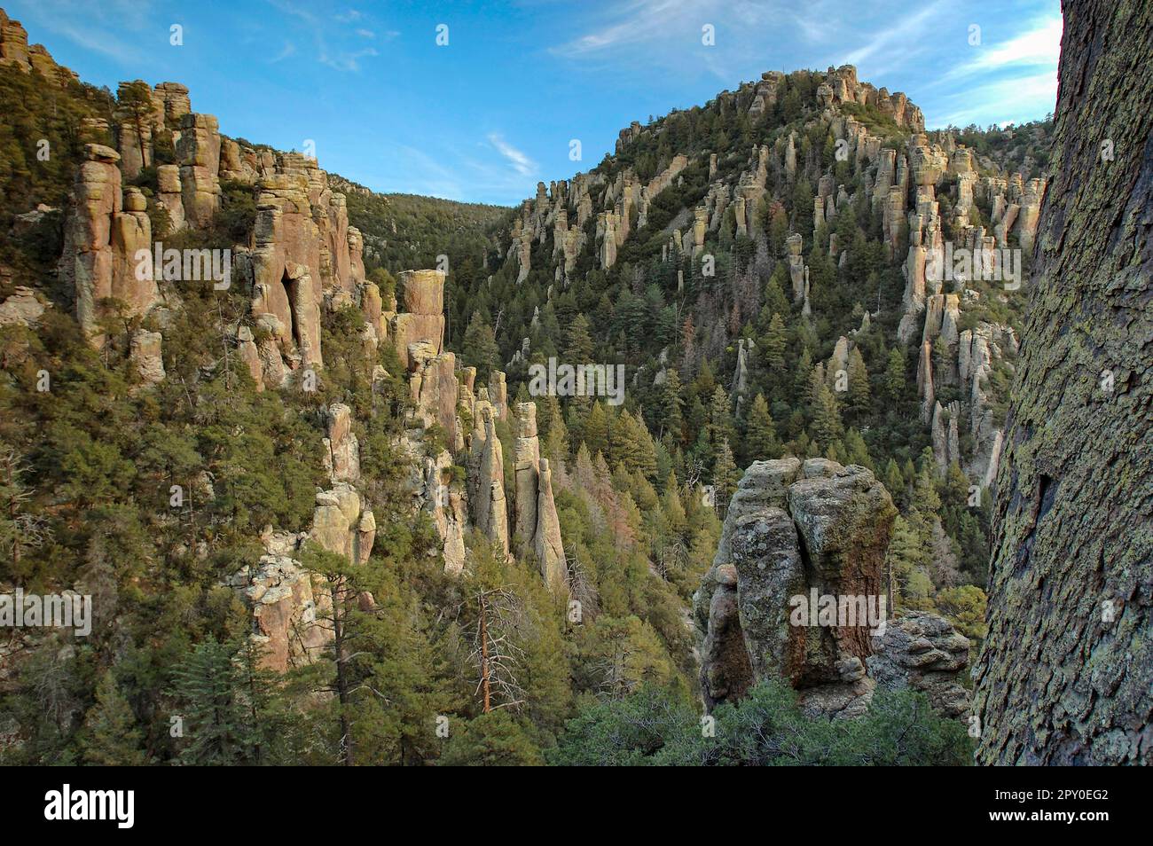 USA; America; Arizona; Chiricahua National Monument, scenic rocks Stock ...