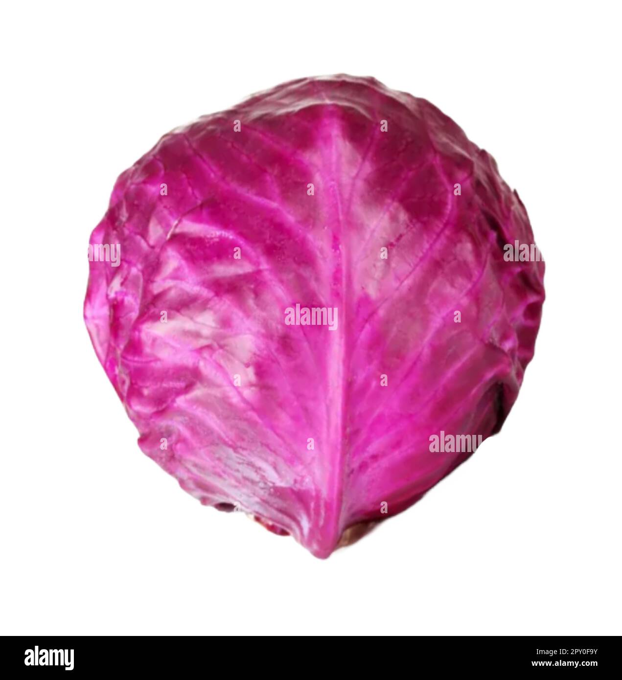Cabbage recipes Stock Vector Images - Alamy