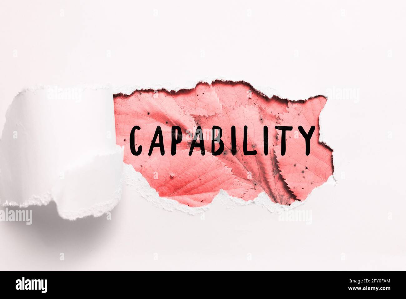 Text caption presenting Capability, Word Written on the facility or ...