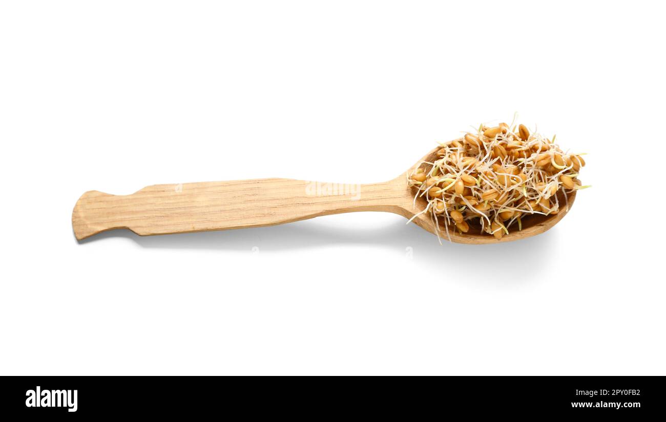 Wooden spoon with sprouted wheat on white background Stock Photo - Alamy