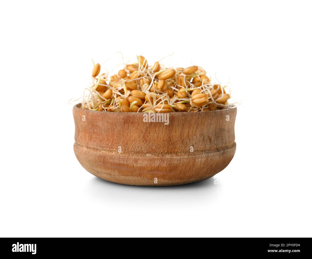 Bowl with sprouted wheat on white background Stock Photo - Alamy