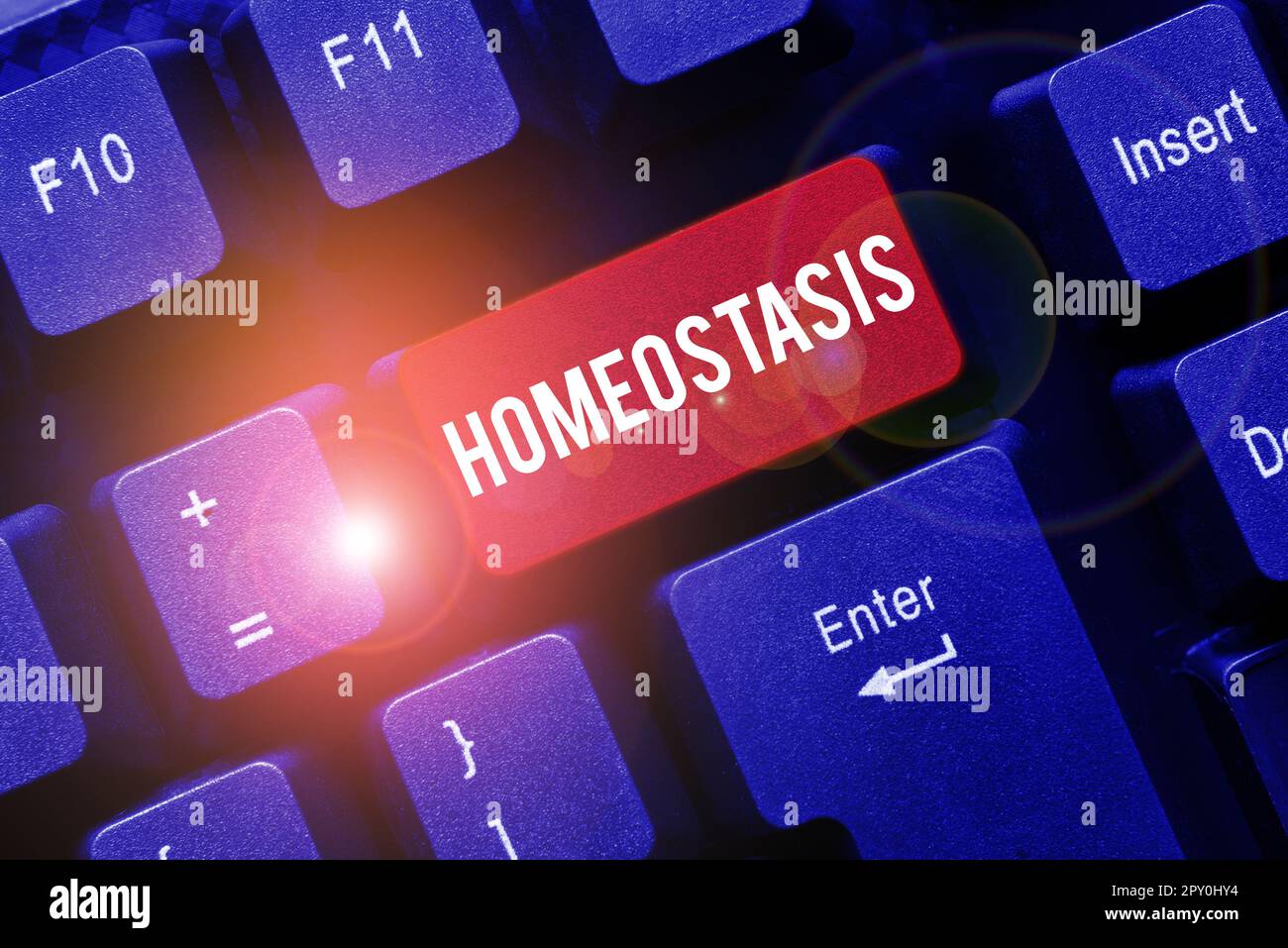 Conceptual display Homeostasis, Business showcase the tendency toward a ...