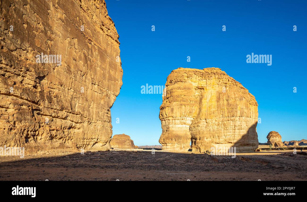 Sandstone elephant rock erosion monolith standing in the desert, Al Ula ...