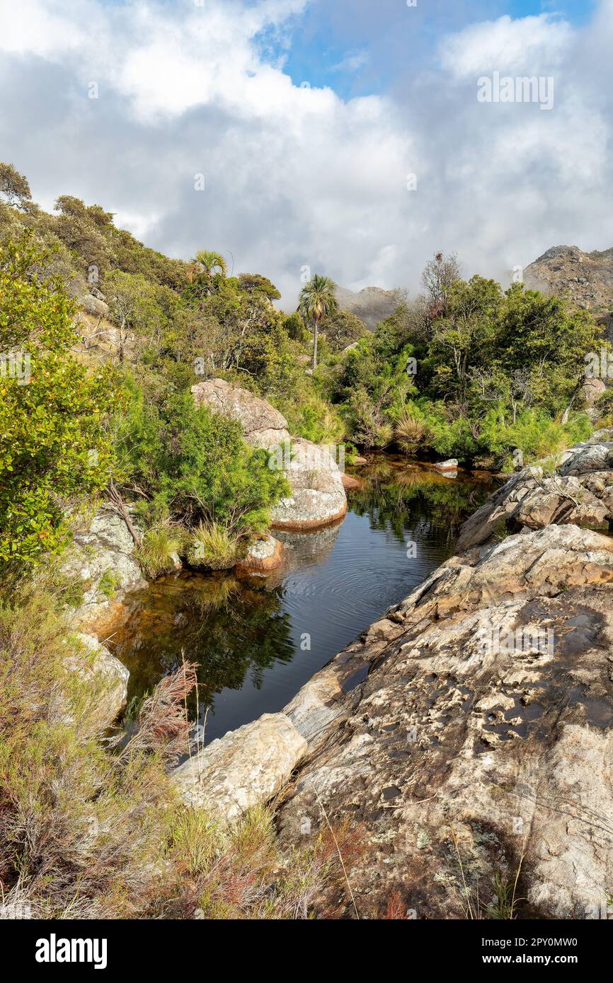 Andringitra national park, Haute Matsiatra region, Madagascar ...