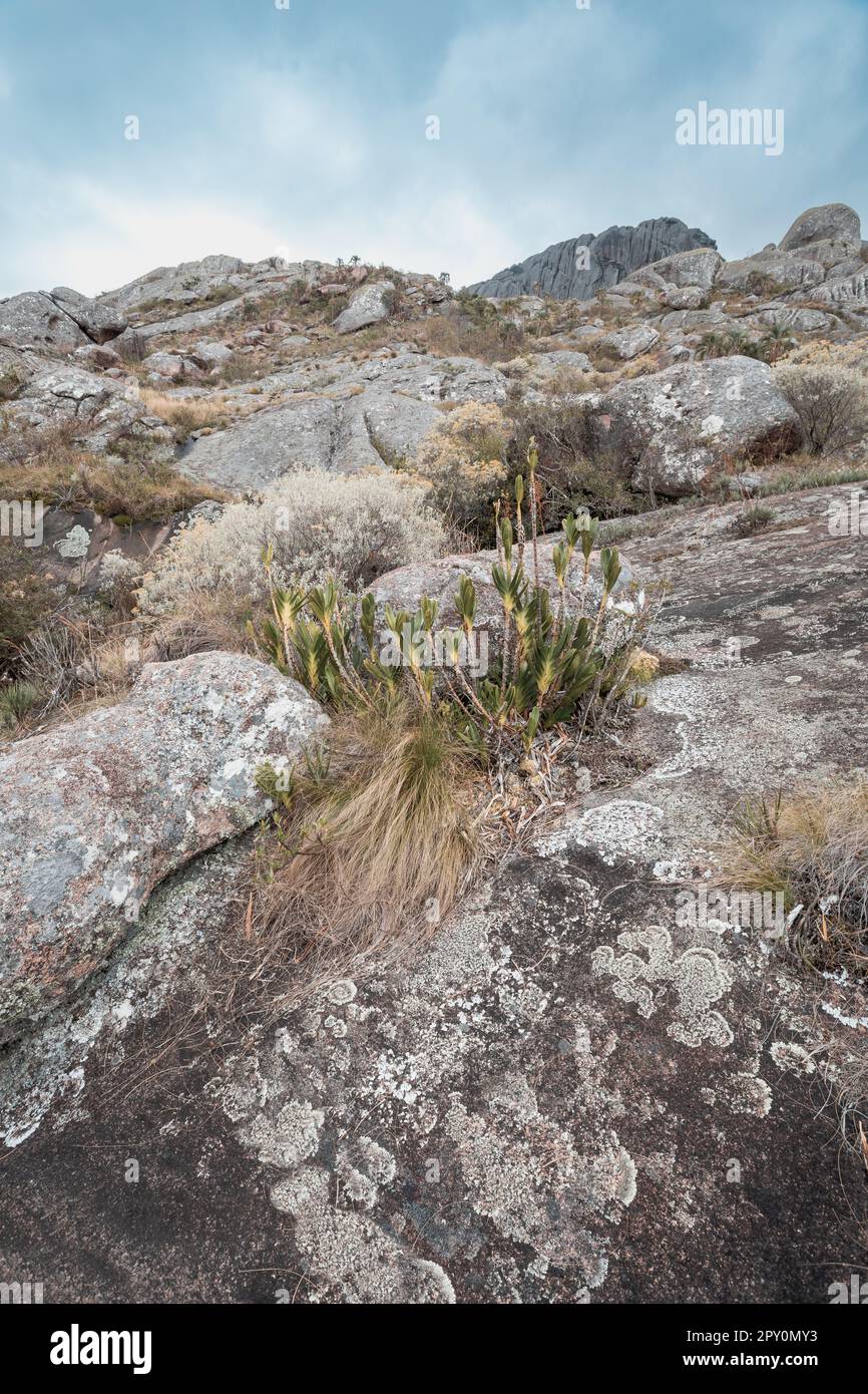 Andringitra national park, Haute Matsiatra region, Madagascar, beautiful mountain landscape,in ...