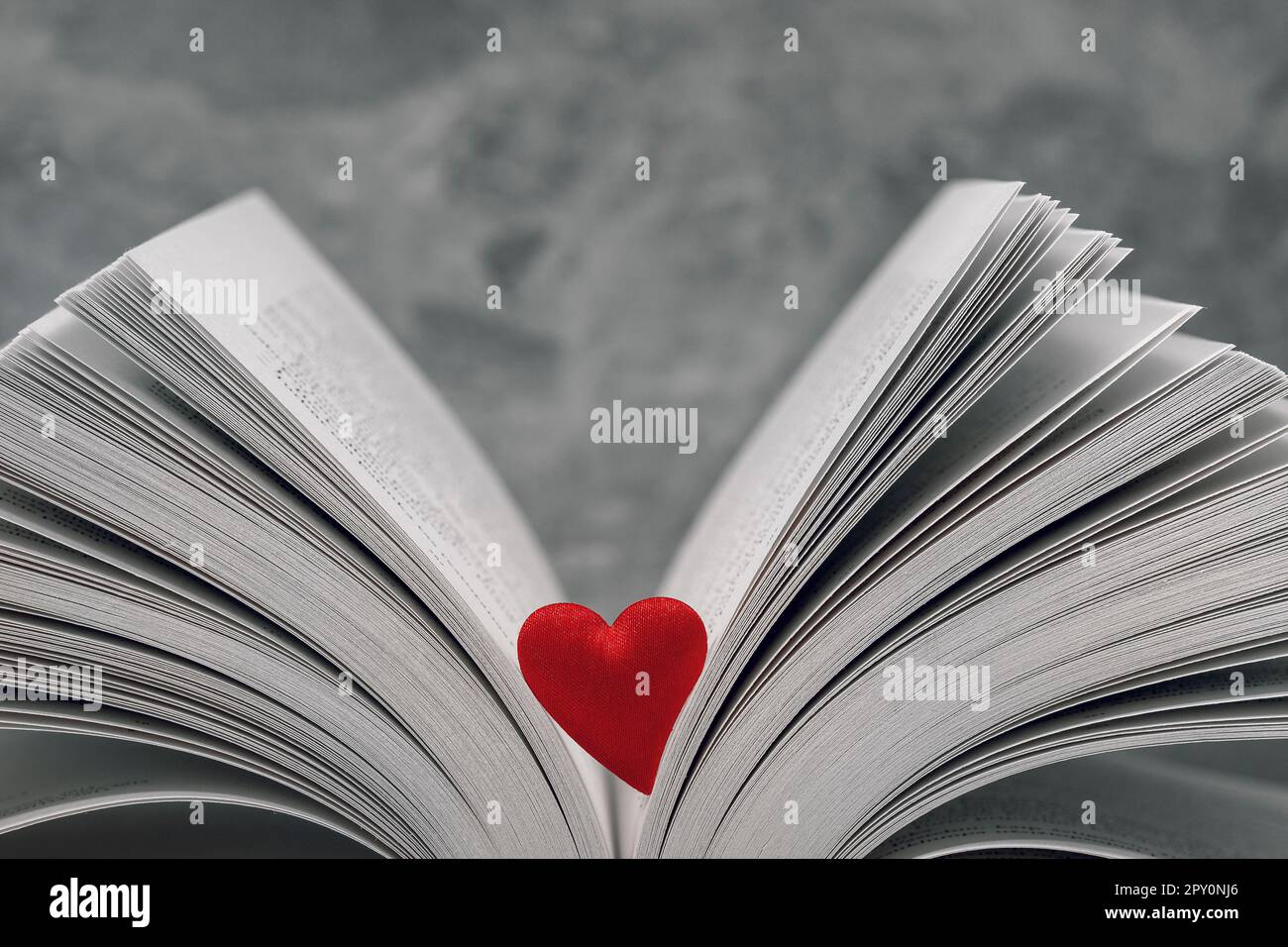 Little red heart in a opened pages of literature.Love concept ...