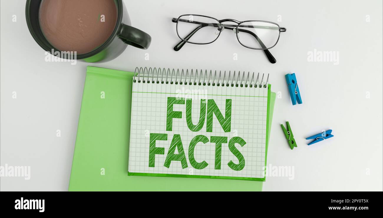 Conceptual display Fun Facts, Business overview short interesting ...