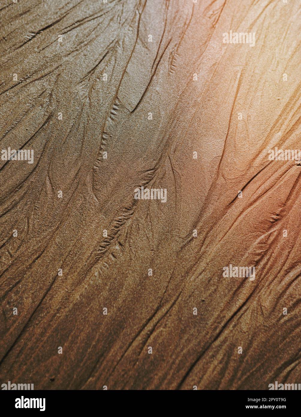 Beige sandy beach texture background Stock Photo - Alamy