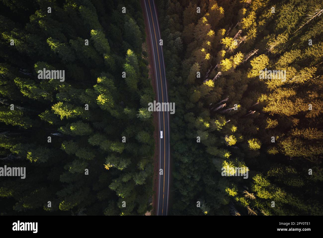 Aerial view of a road through the woods Stock Photo - Alamy