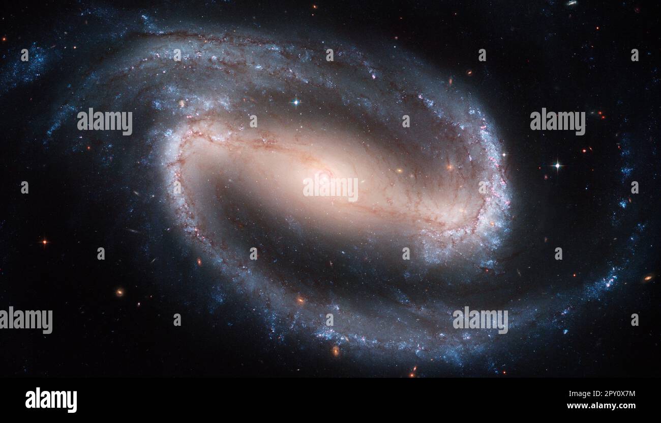 Barred Spiral Galaxy NGC 1300 Credit: NASA, ESA, and The Hubble ...