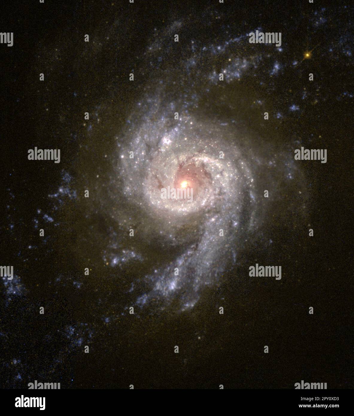 GALAXY NGC 3310 IS ONE OF SEVERAL STARBURST GALAXIES, WHICH ARE HOTBEDS ...
