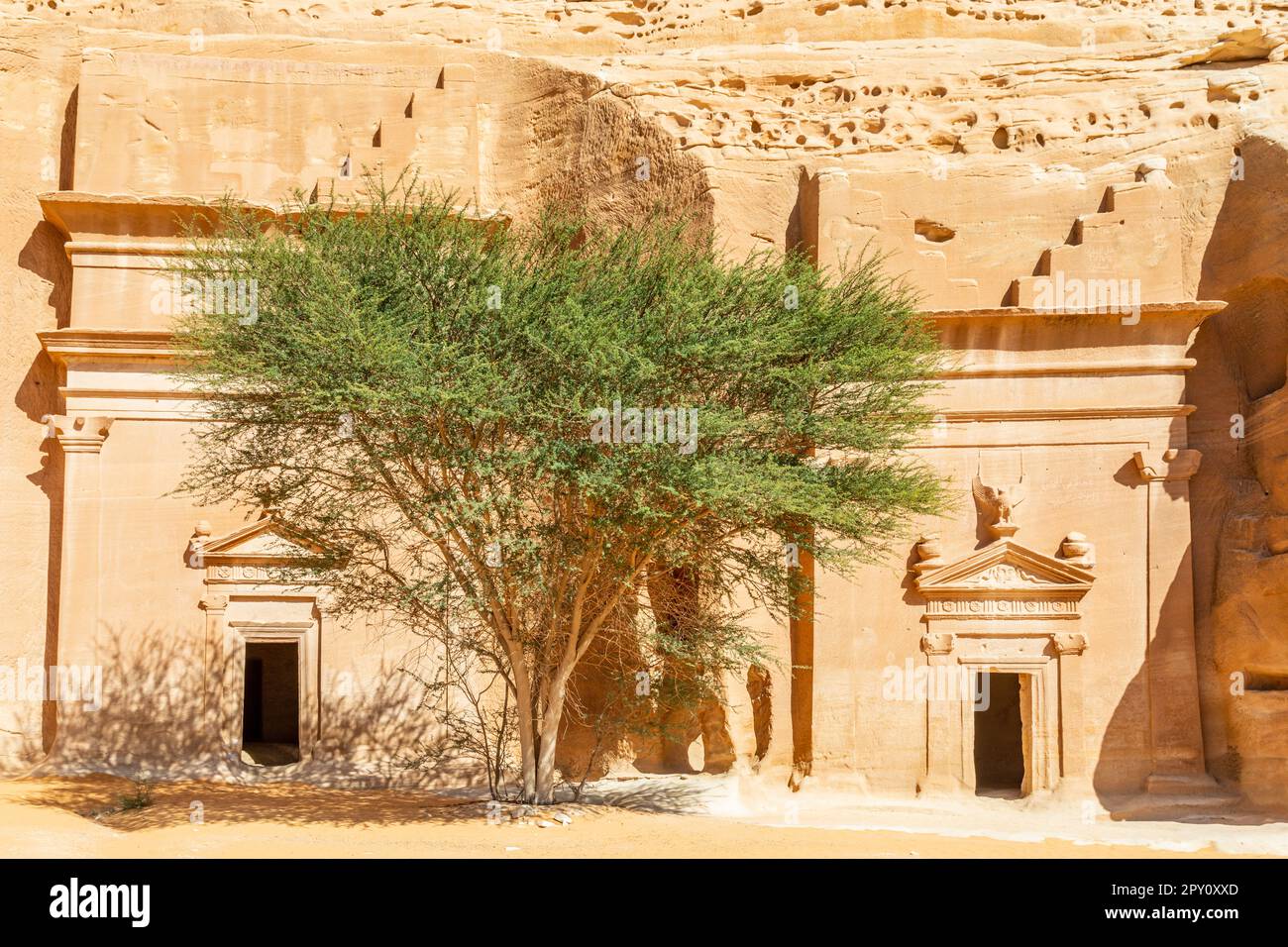Stone carved nabataean tombs with tree in the middle, Jabal al banat ...