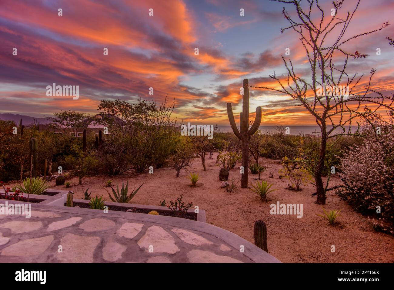 Mexico, Baja California, El Sargento, Mar de Cortez, Gulf of California ...