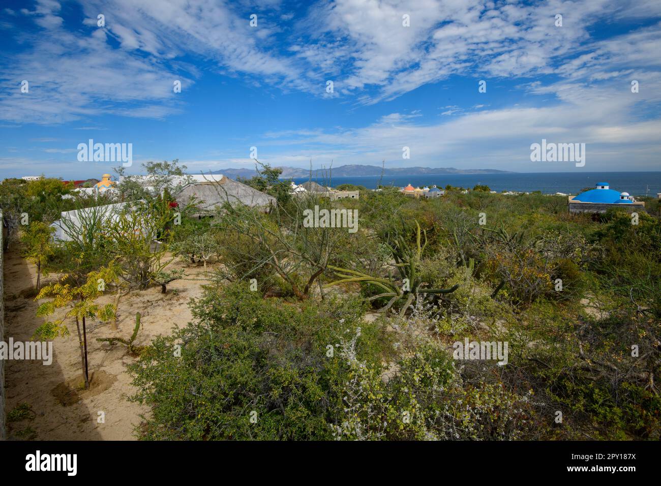 Mexico, Baja California, El Sargento, Mar de Cortez, Gulf of California ...