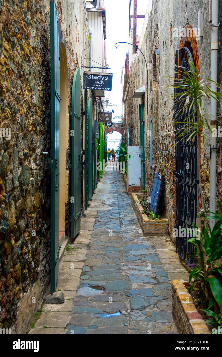 Saint Thomas (Danish: Sankt Thomas) is one of the Virgin Islands in the ...