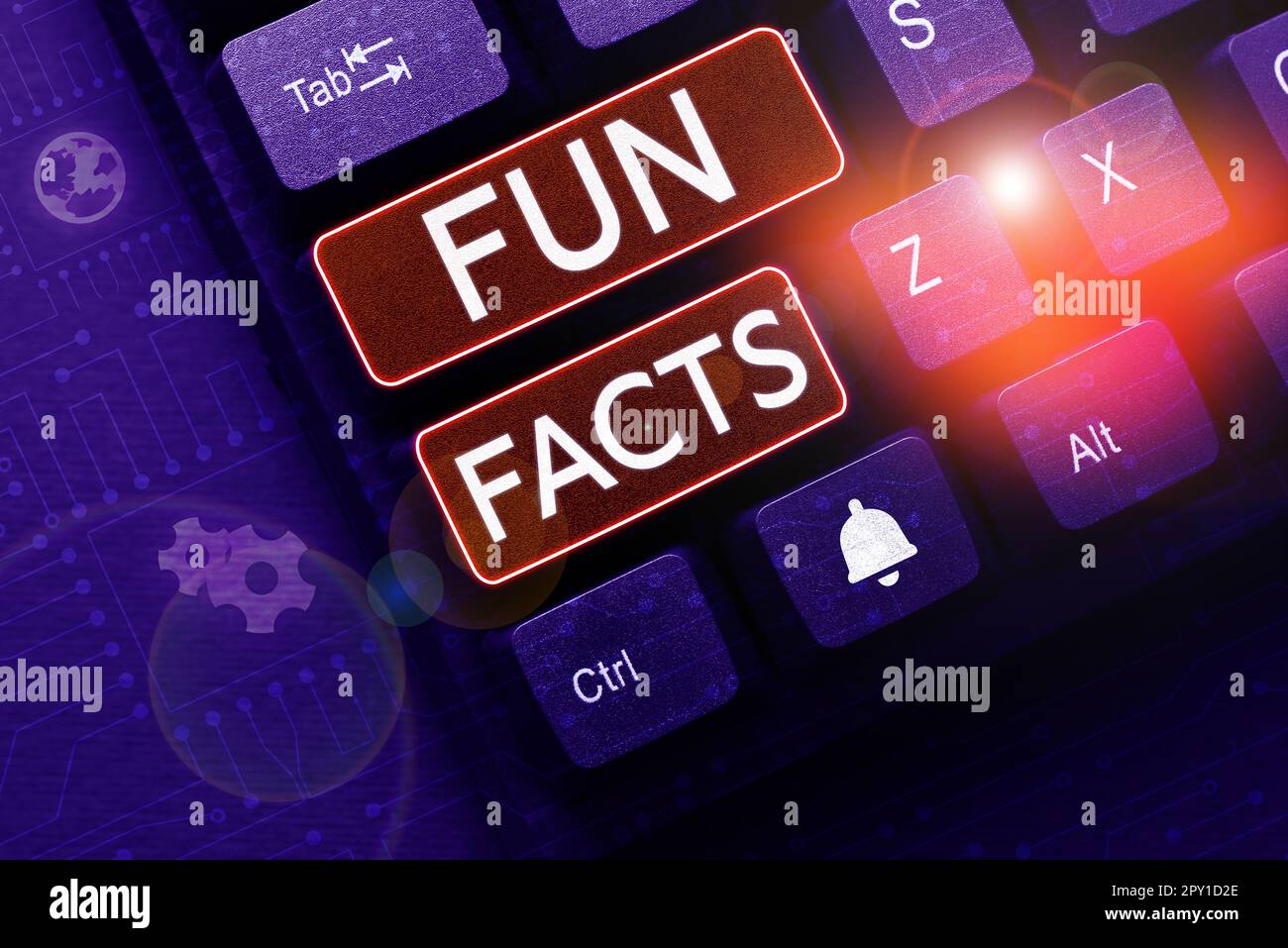 Conceptual display Fun Facts, Business approach short interesting ...