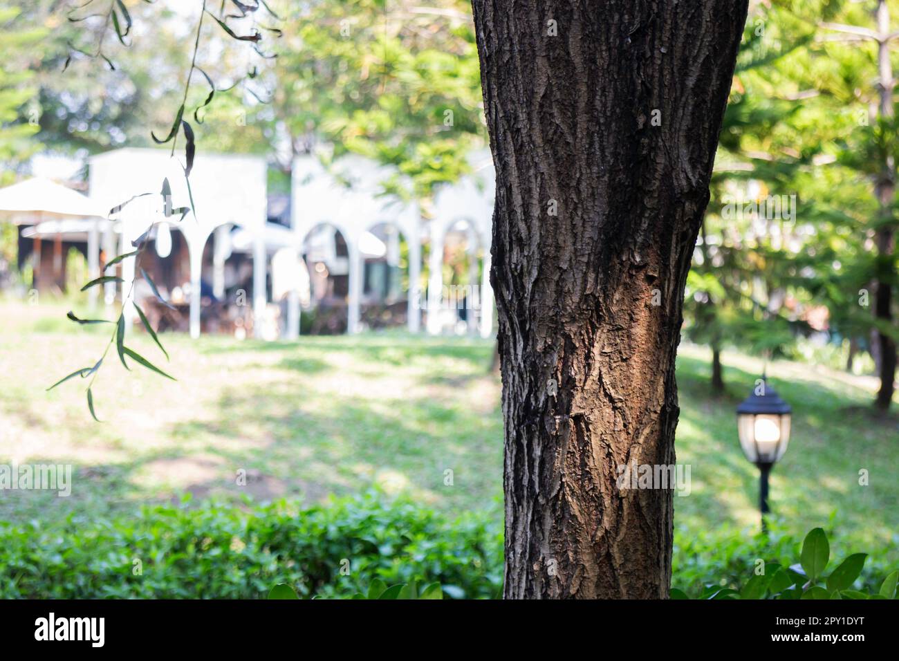 Decoration of coffee shop in Thailand, stock photo Stock Photo - Alamy