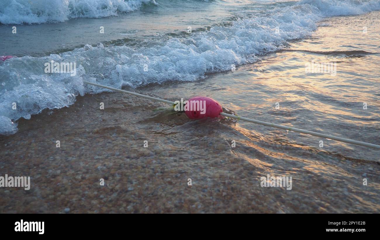 Buoys on a rope near sea water. The buoys are pink restraints to alert ...