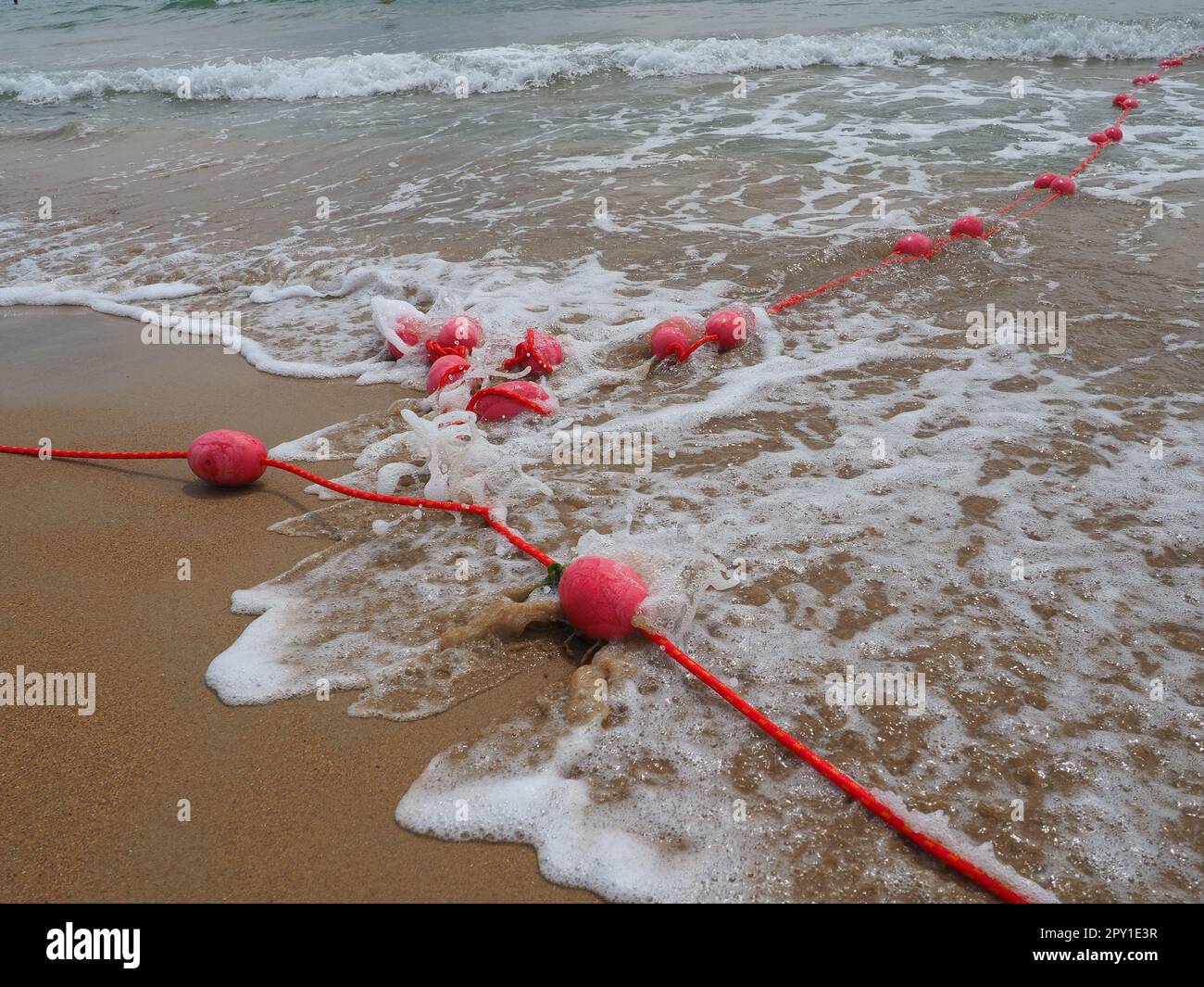 Buoys on a rope in sea water. The lifebuoys are pink restraints to ...