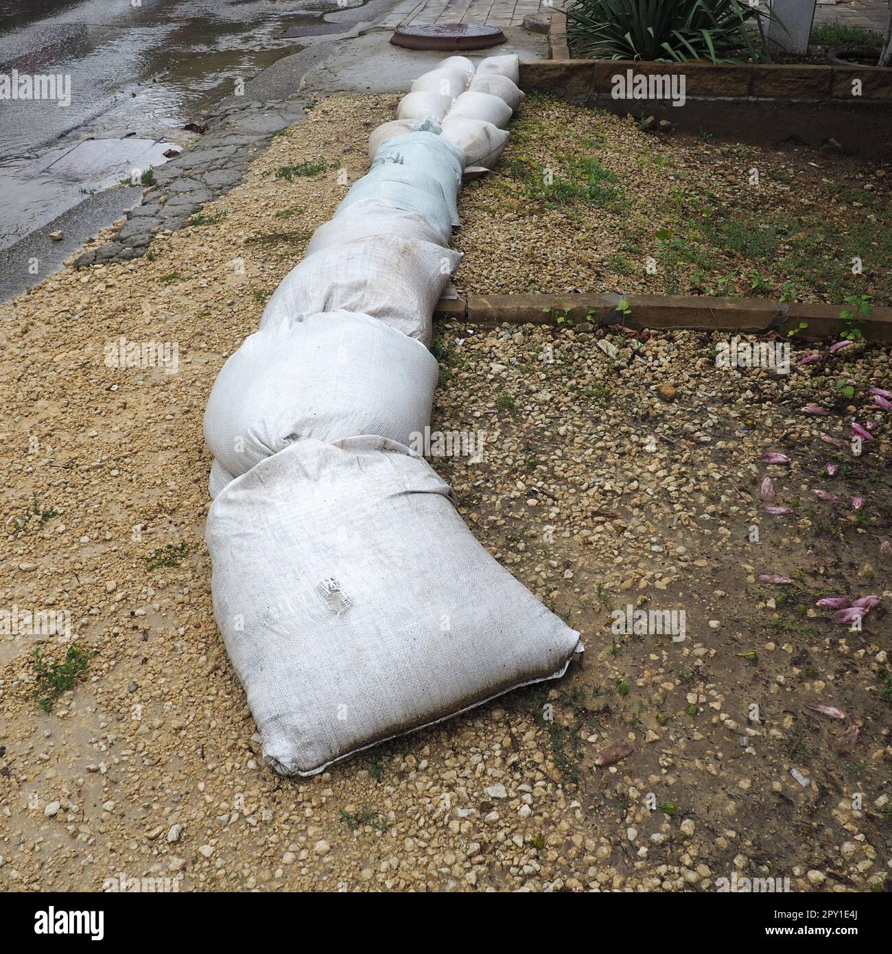 Sandbags are placed on the ground next to the road to prevent flooding ...