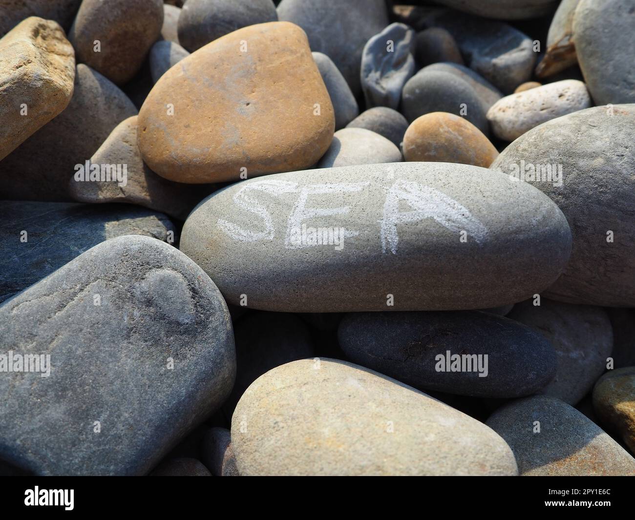 Oval stones, large smooth sea pebbles, illuminated by the summer sun ...