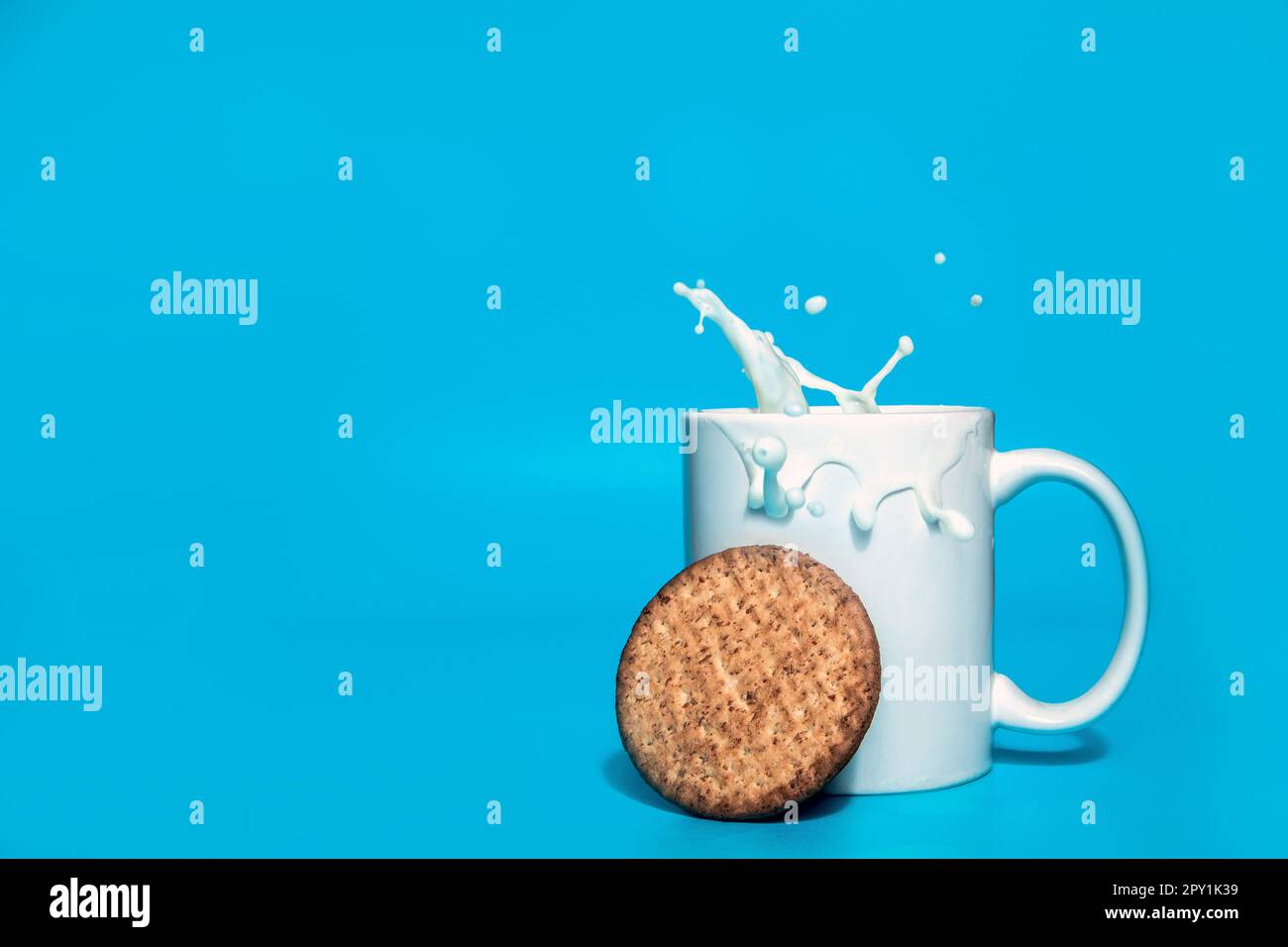 Oatmeal cookies fall in a white mug with milk and a splash on a blue ...