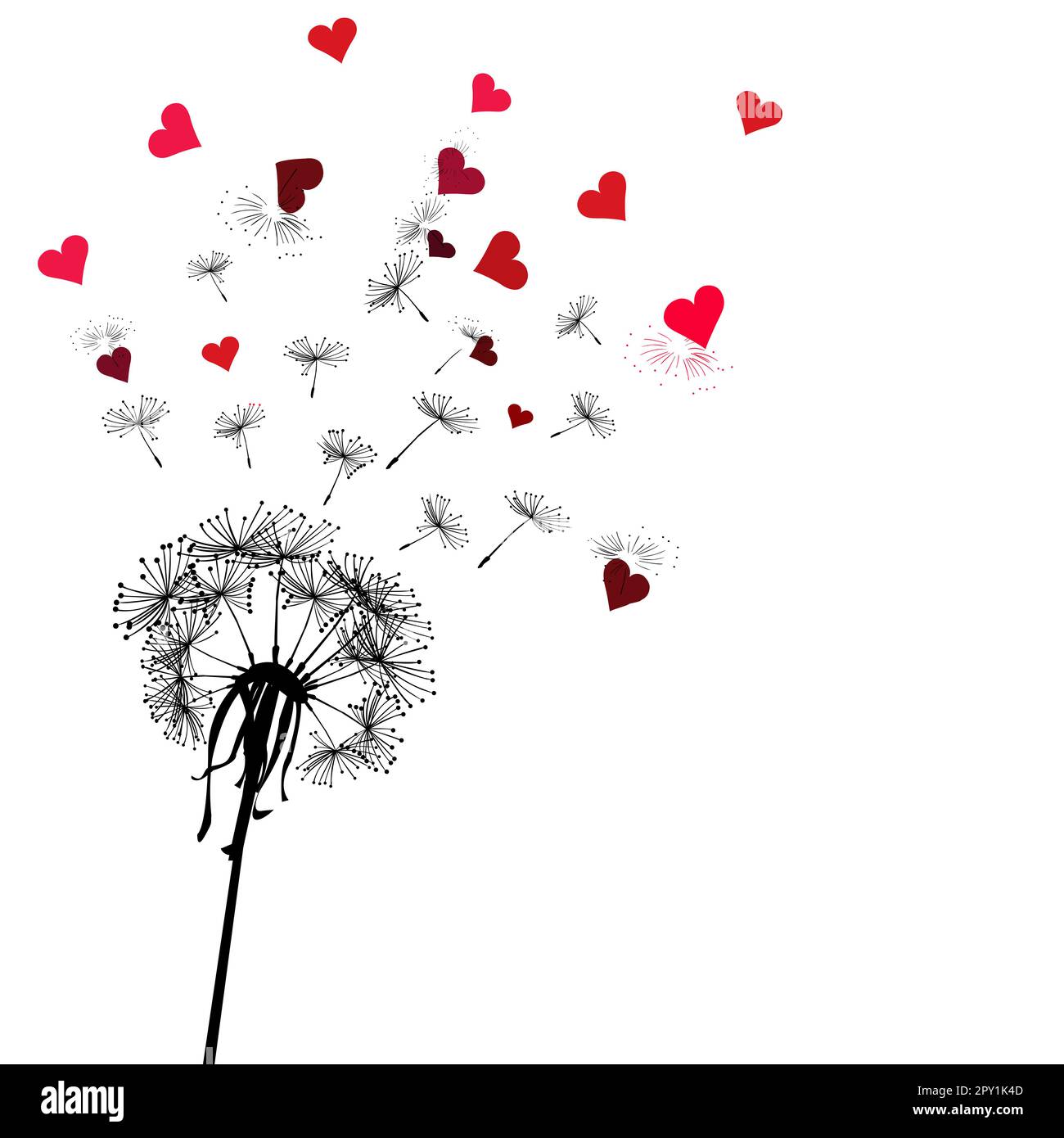 Dandelion with seeds that fly and turn into hearts Stock Photo - Alamy