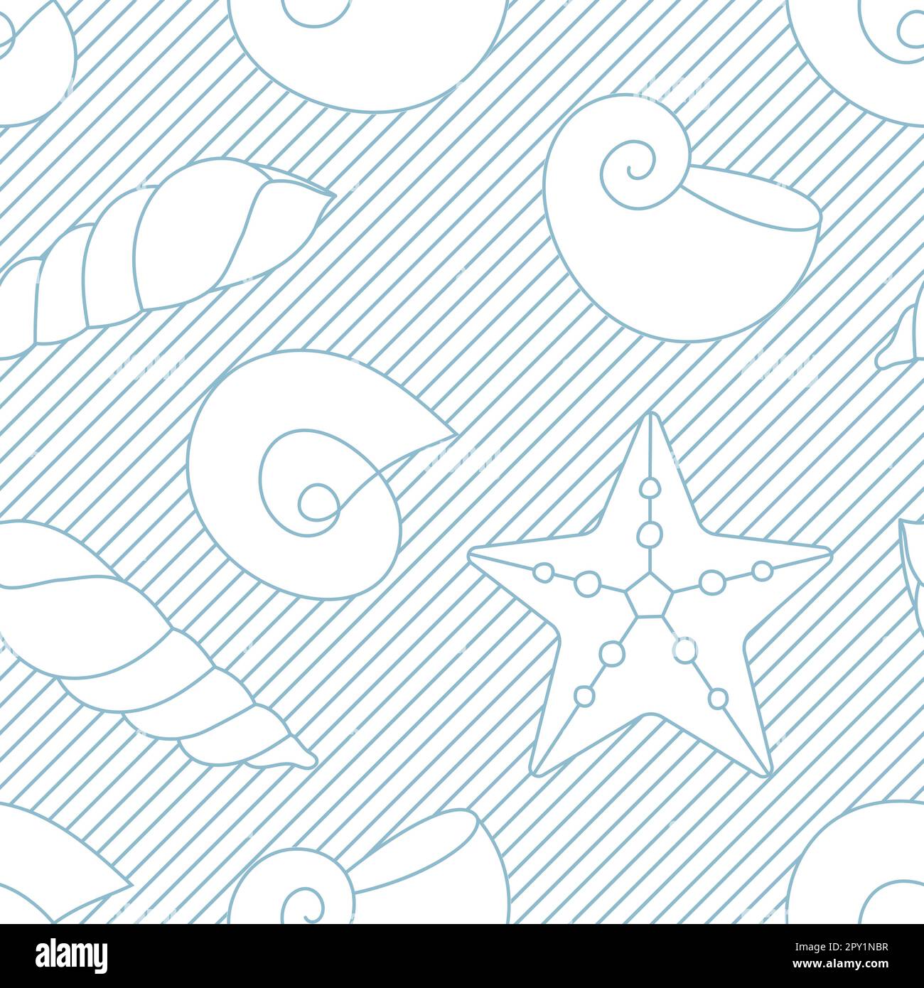 Sea shell vector seamless pattern. Textured seashells, stars background ...