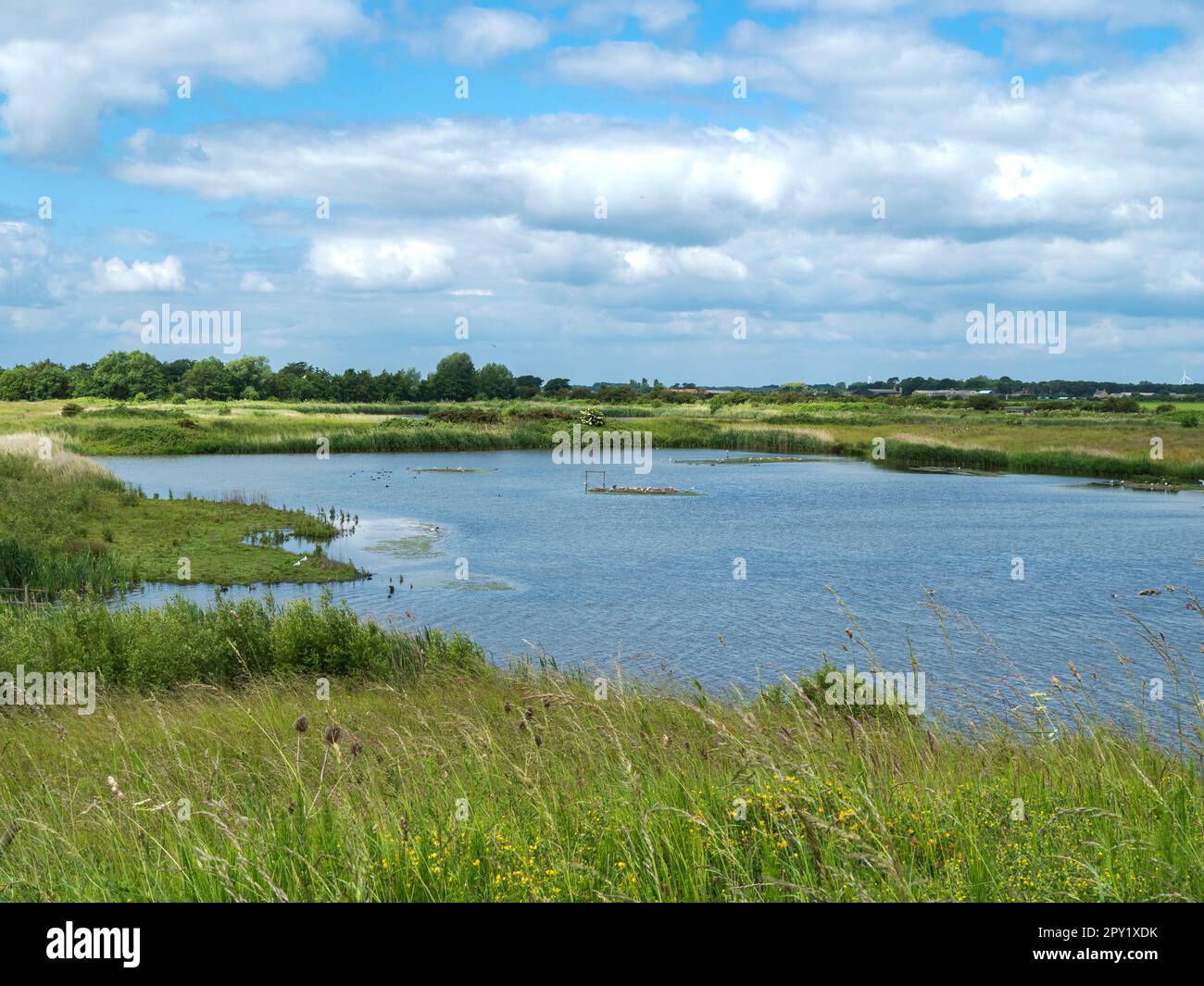 View over wetland habitat at North Cave Wetlands Nature Reserve, East ...