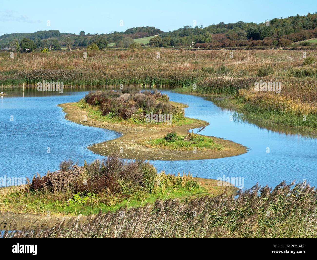 View over an island in a pond in North Cave Wetlands Nature Reserve ...