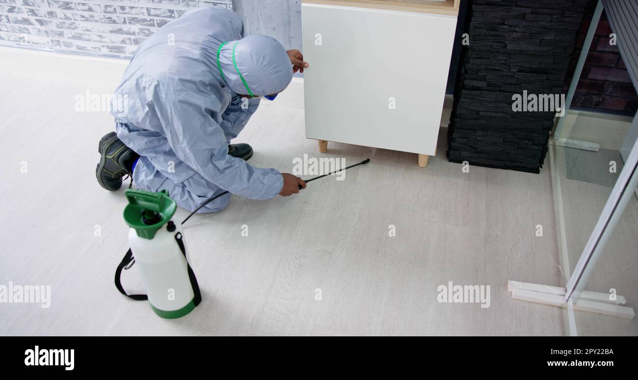 Pest Control Exterminator Man Spraying Termite Pesticide In Office ...
