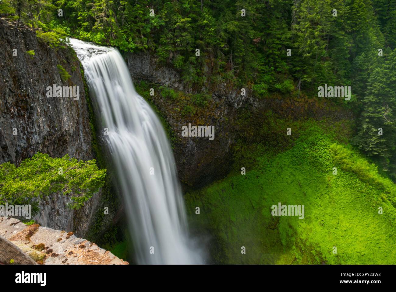 Salt Creek Falls tumbles in sunshine in oregon, USA Stock Photo - Alamy
