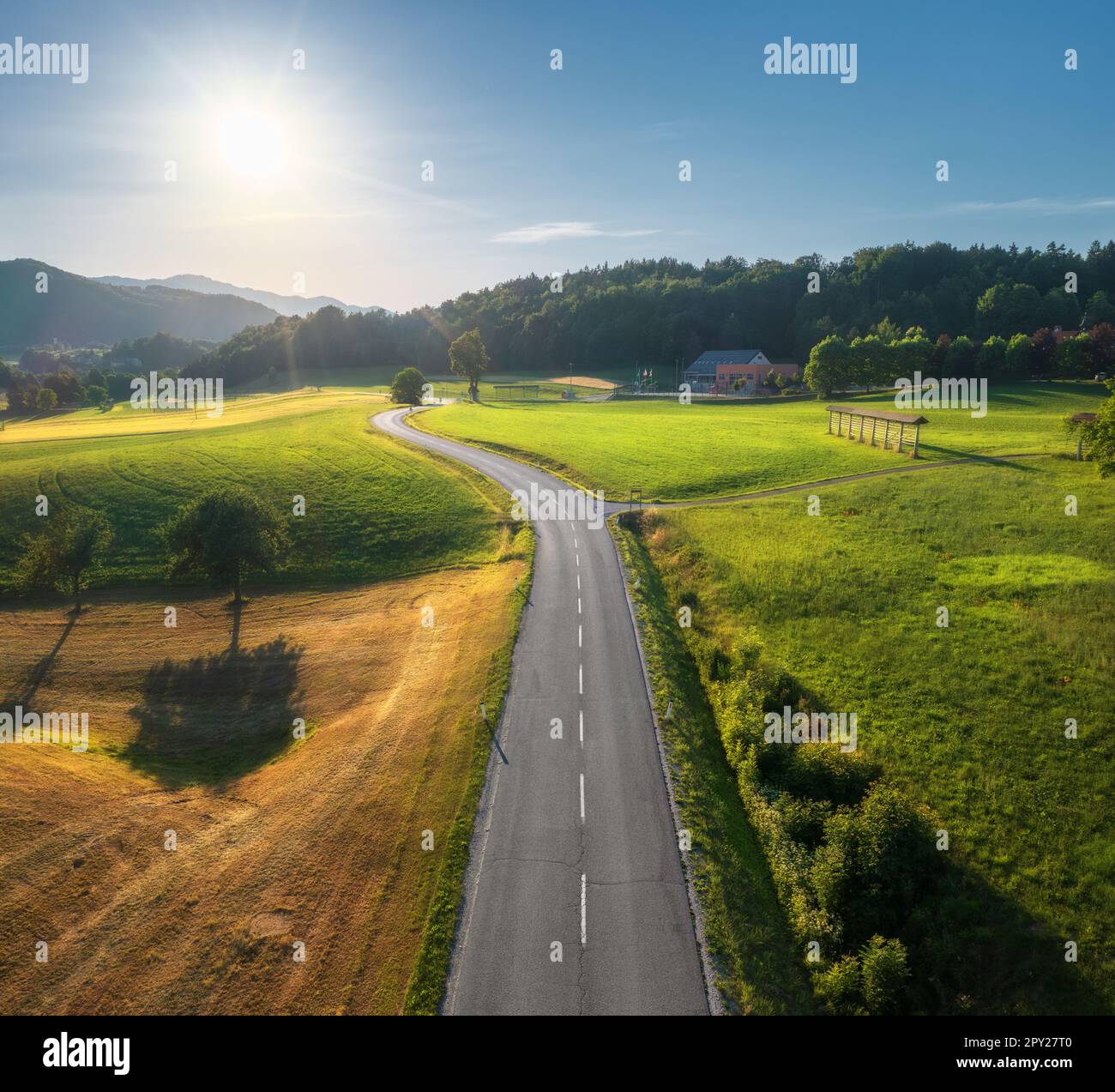 Aerial view of road in green meadows at sunset in summer Stock Photo ...