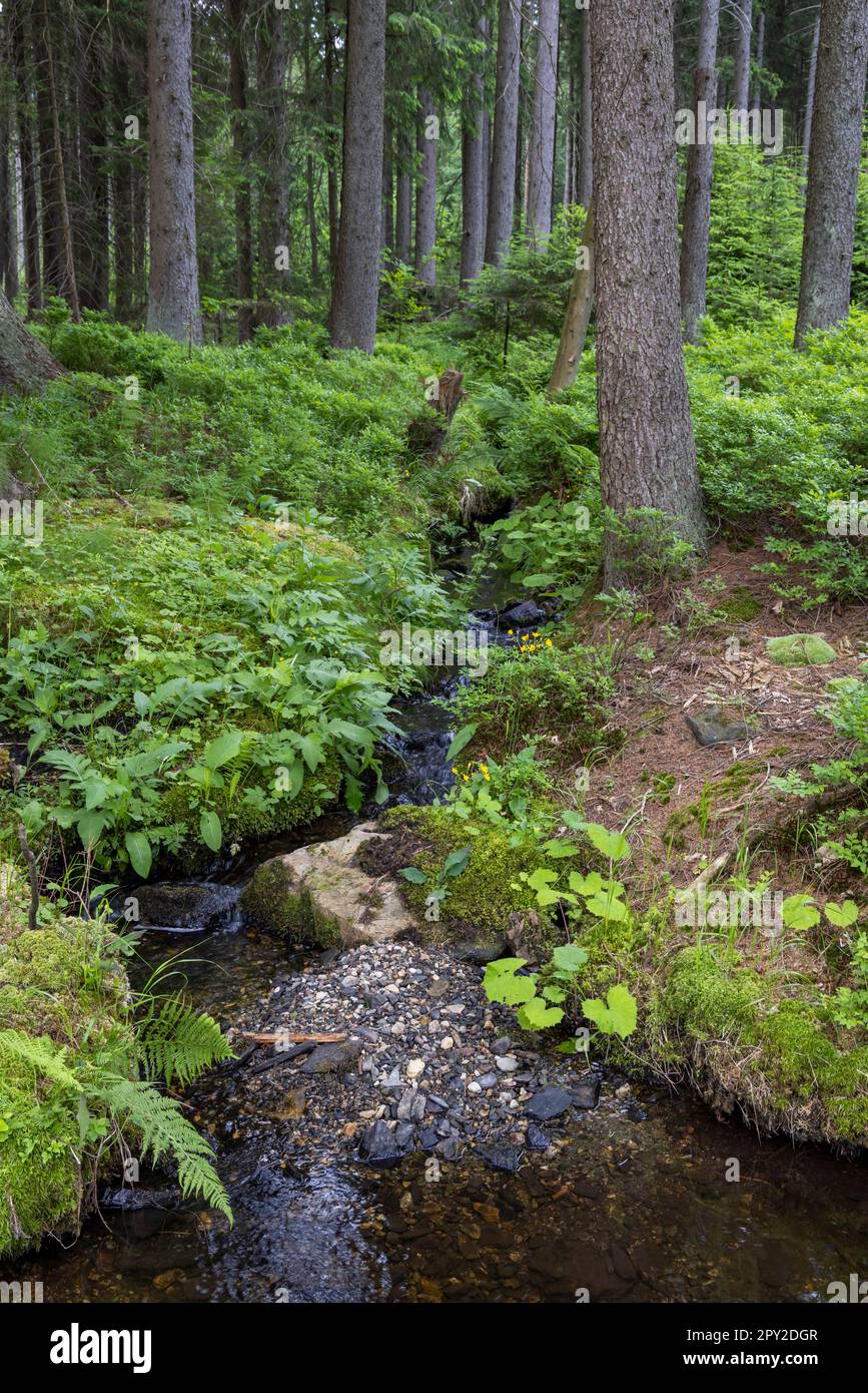 Moravian mountains hi-res stock photography and images - Alamy