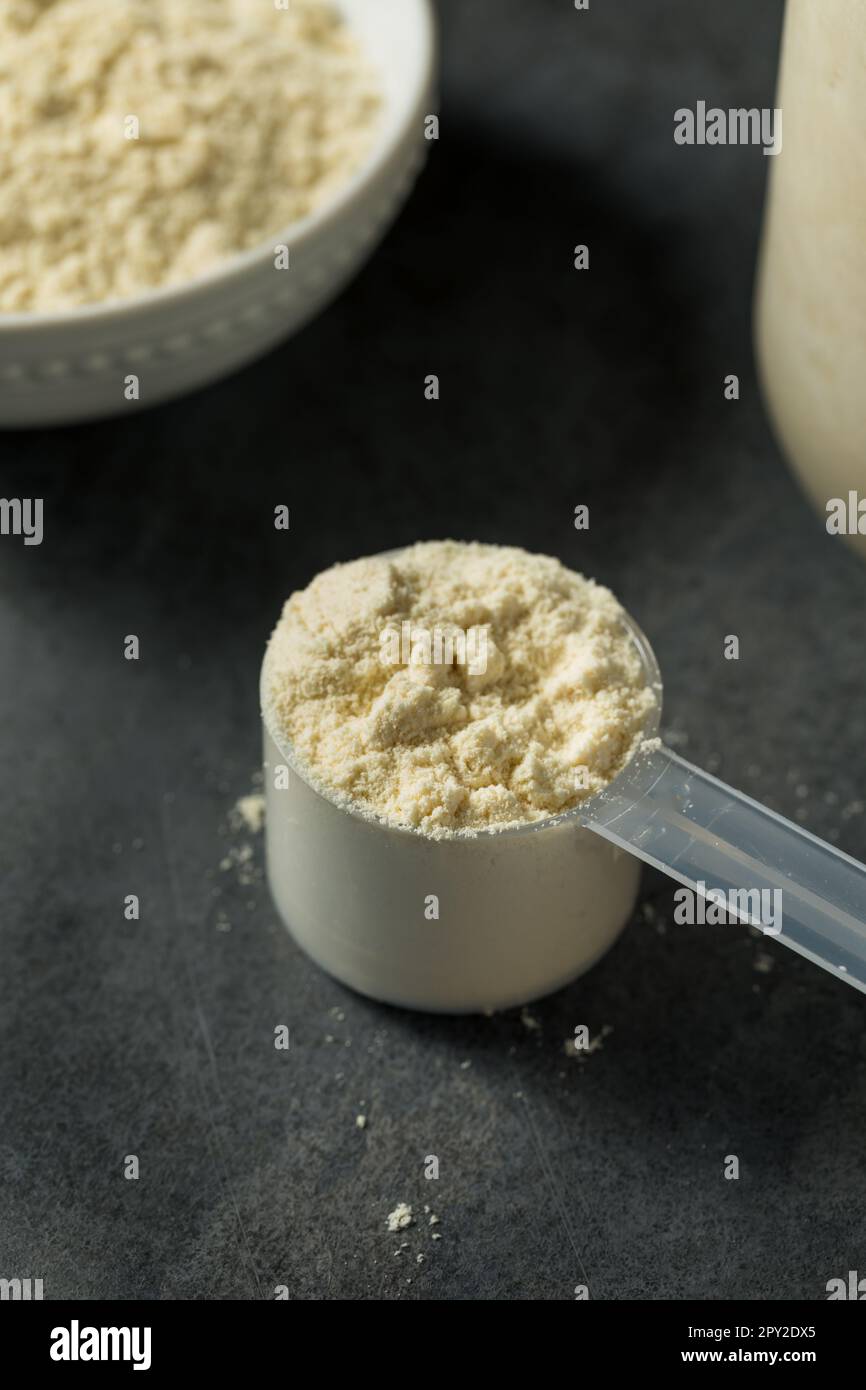 Organic Healthy Vanilla Whey Protein Powder in a Scoop Stock Photo - Alamy