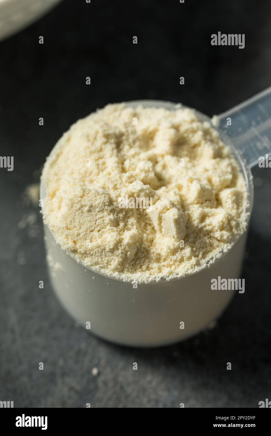 Organic Healthy Vanilla Whey Protein Powder in a Scoop Stock Photo - Alamy