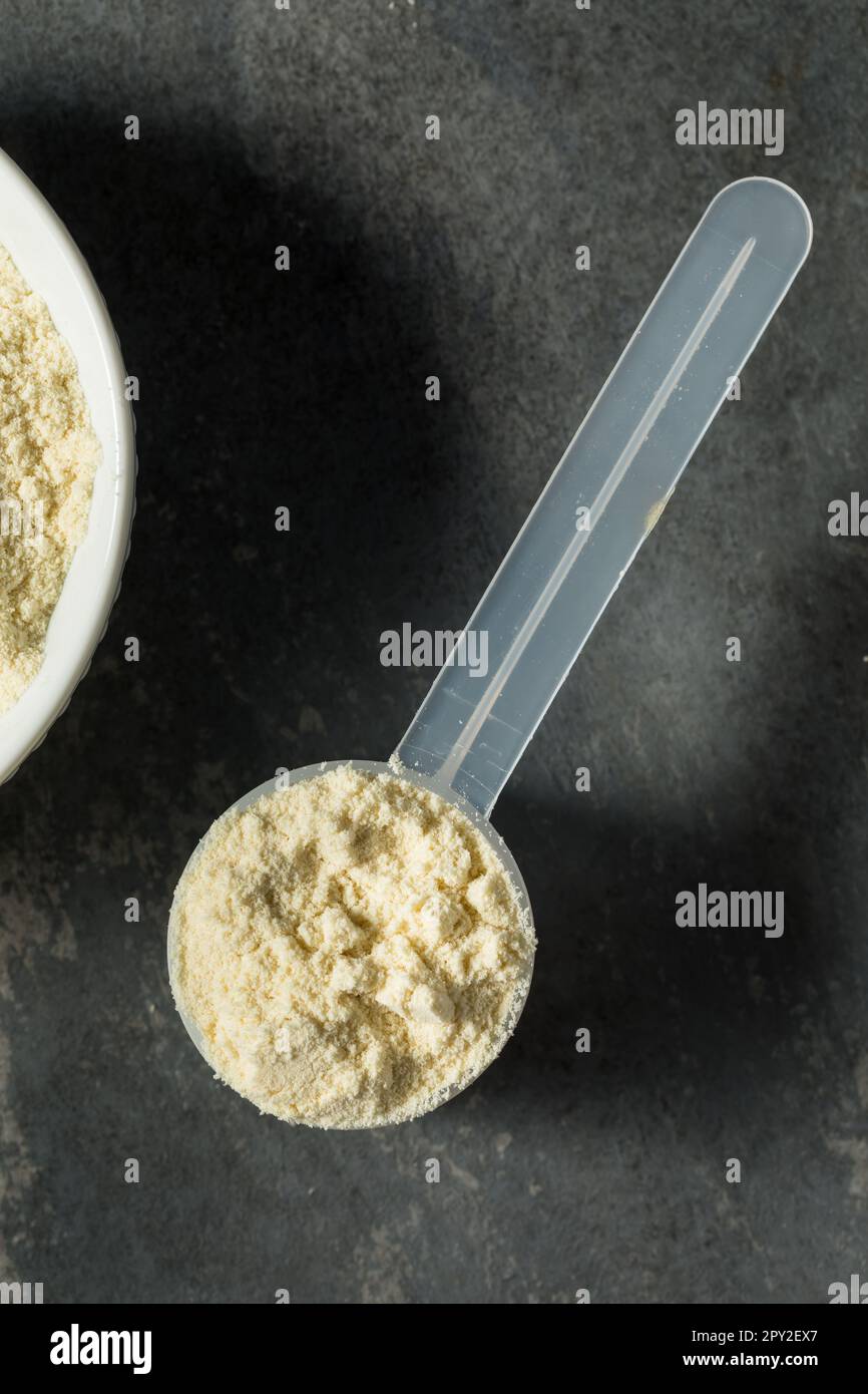 Organic Healthy Vanilla Whey Protein Powder in a Scoop Stock Photo - Alamy