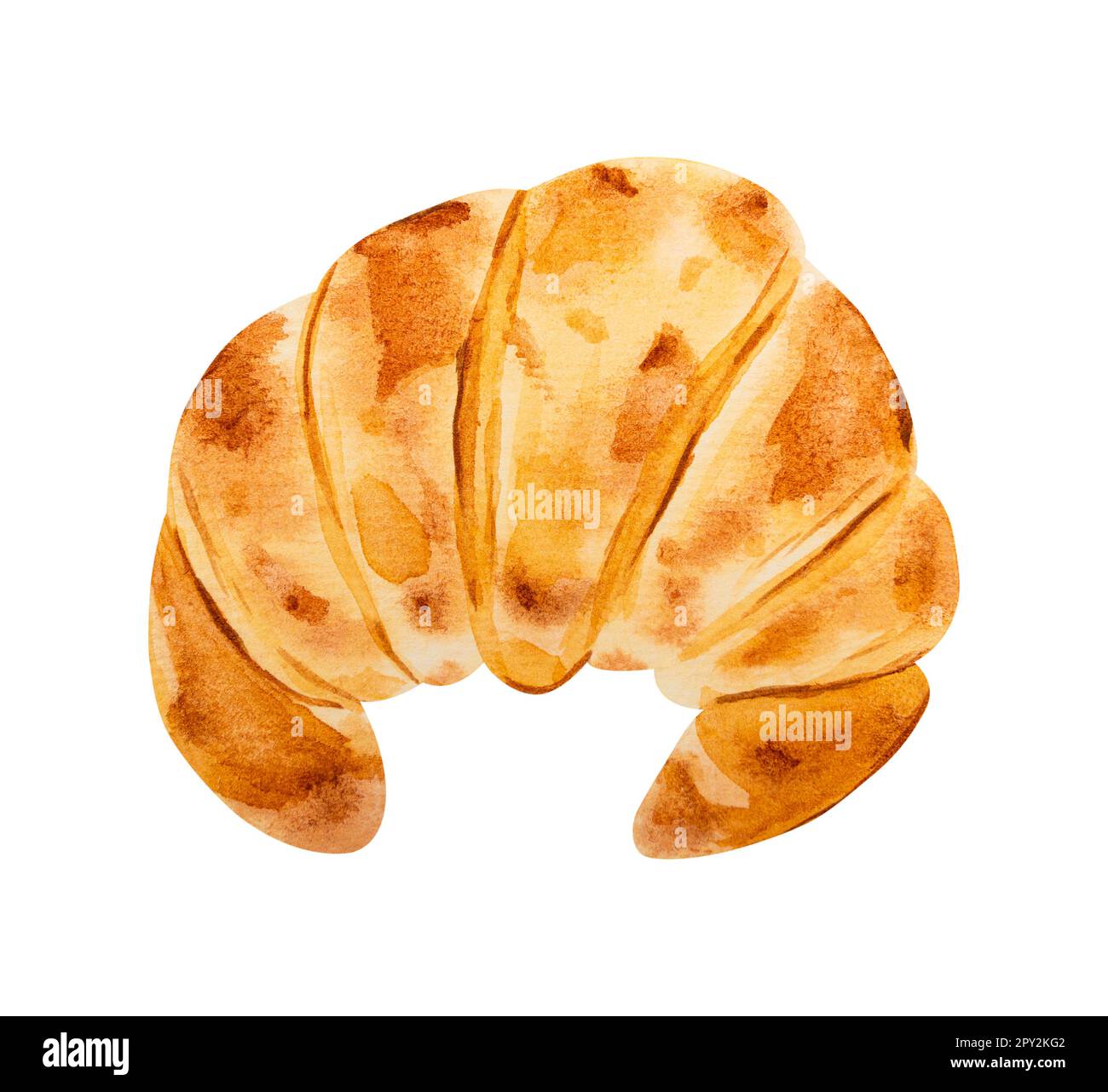 Croissant watercolor hand drawn illustration isolated on white ...