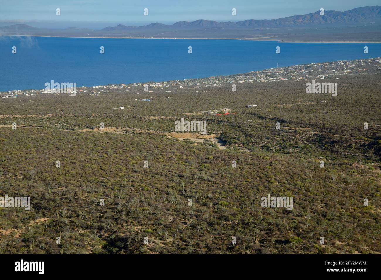 El sargento hi-res stock photography and images - Alamy