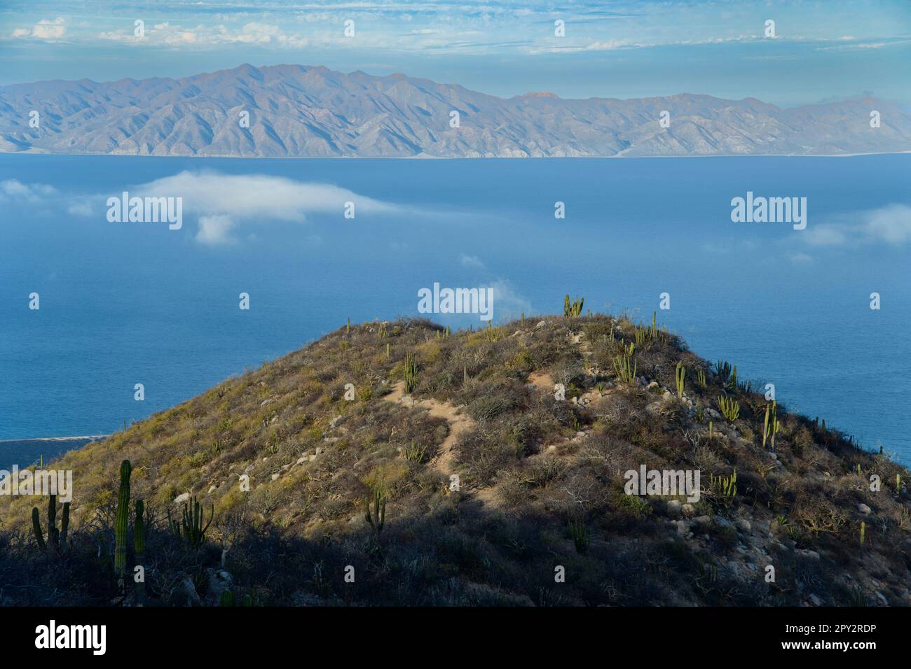 El sargento hi-res stock photography and images - Alamy