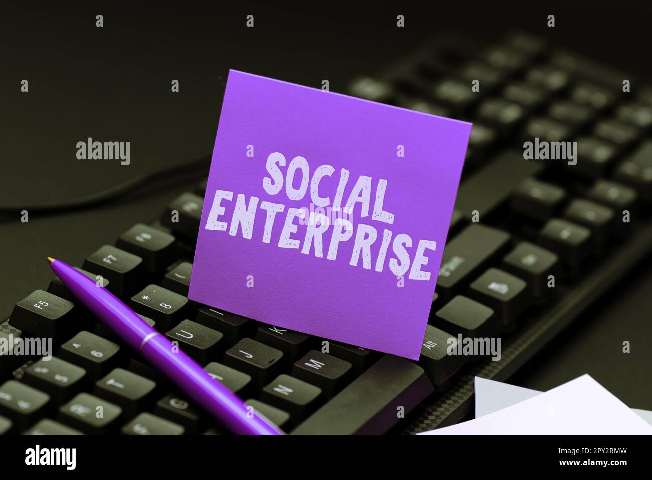 Text caption presenting Social Enterprise, Business idea Business that ...