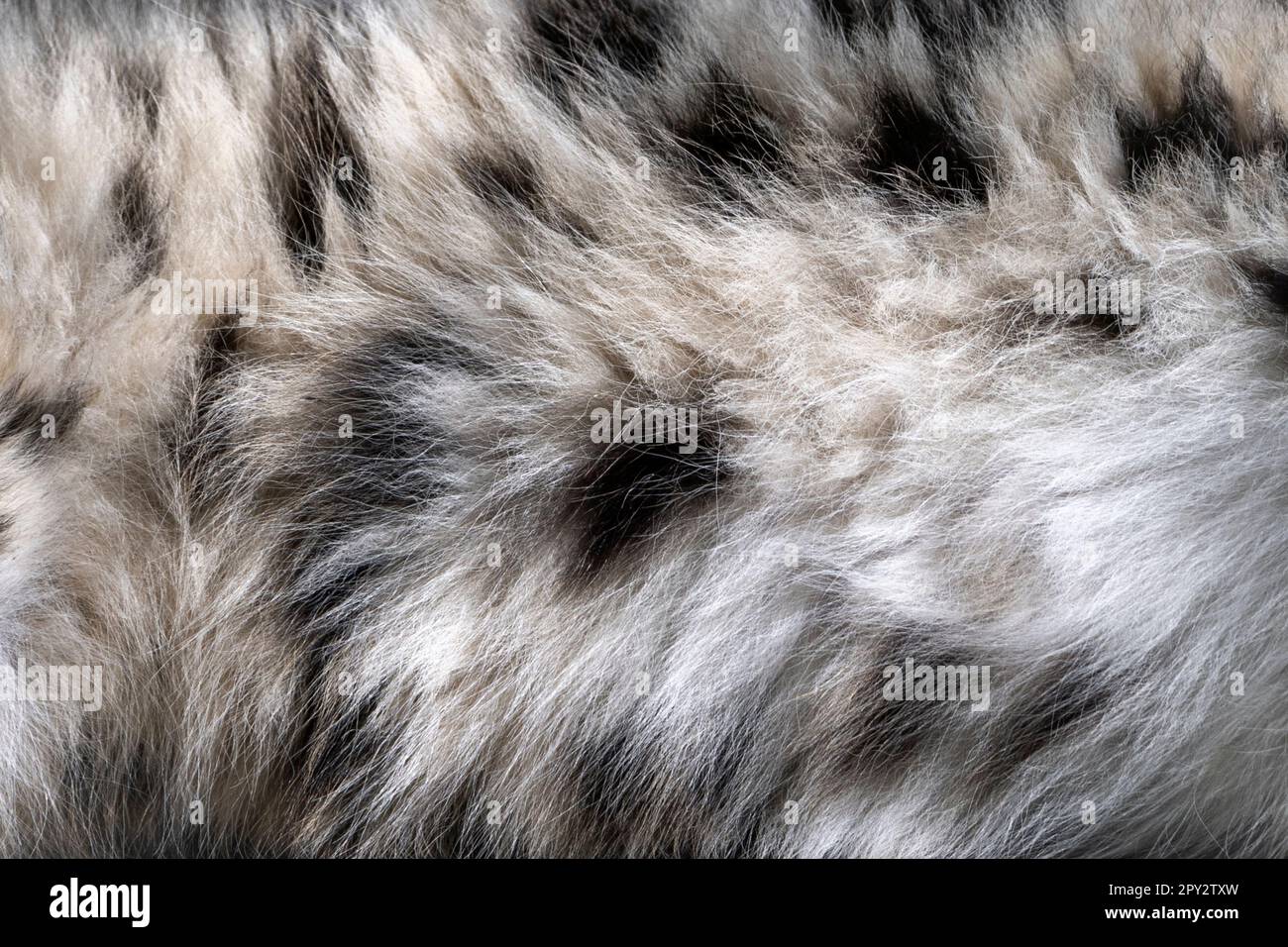 Soft belly hi-res stock photography and images - Alamy