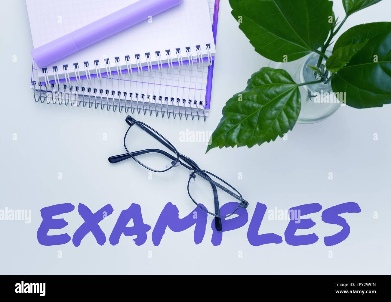 Text showing inspiration Examples, Business overview photo Sample Model ...