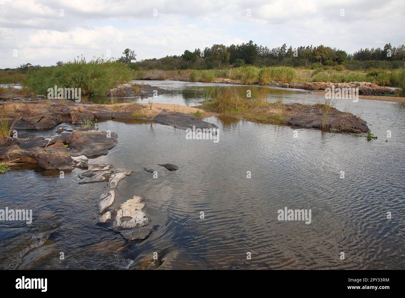 Afrikanischer Busch - Krügerpark - Crocodile River / African Bush ...