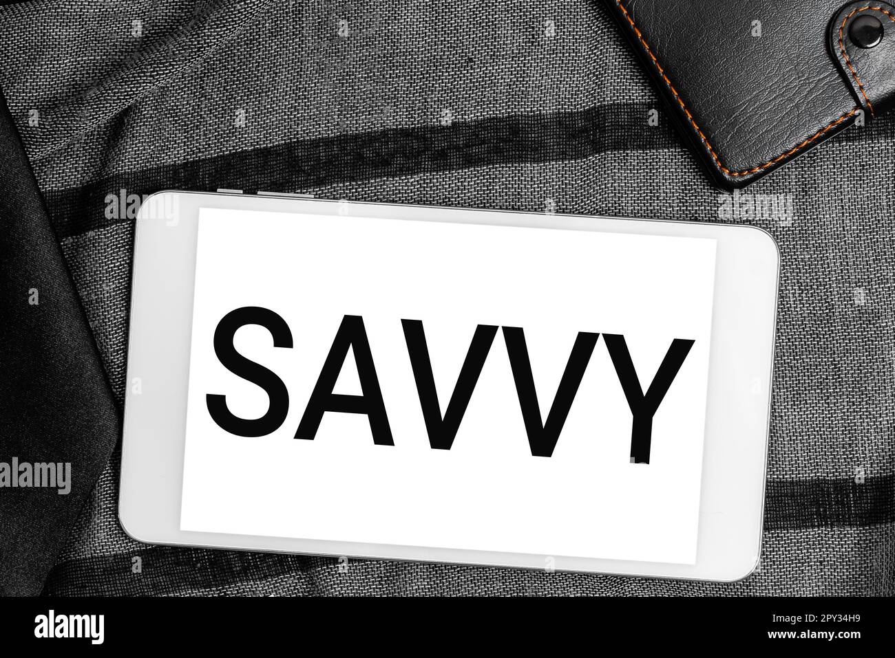 Text caption presenting Savvy, Word Written on having perception ...