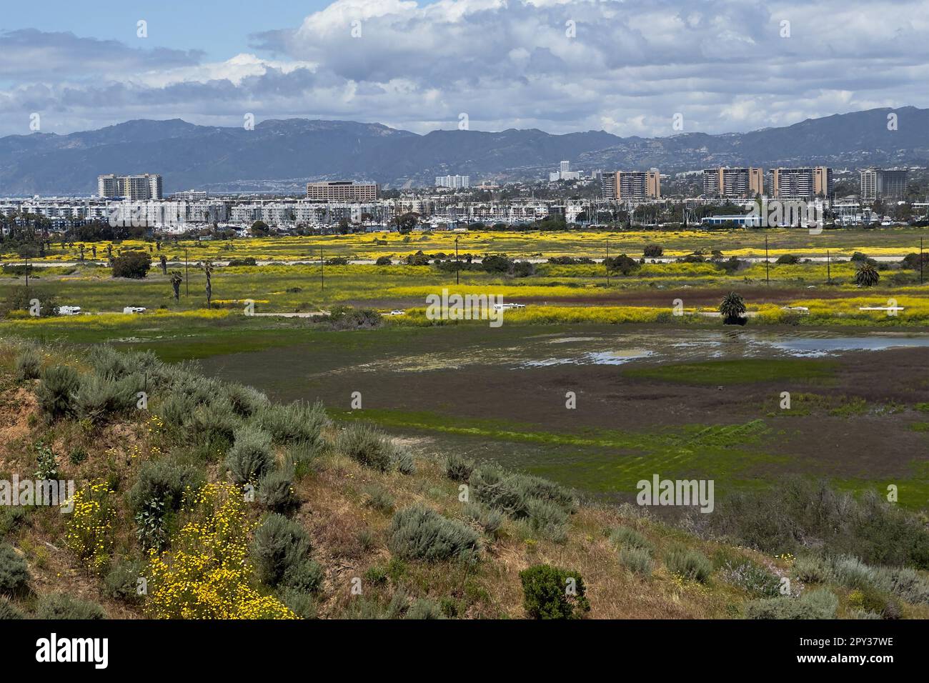 Los Angeles, California, USA. 2nd May, 2023. A view of the Ballona ...
