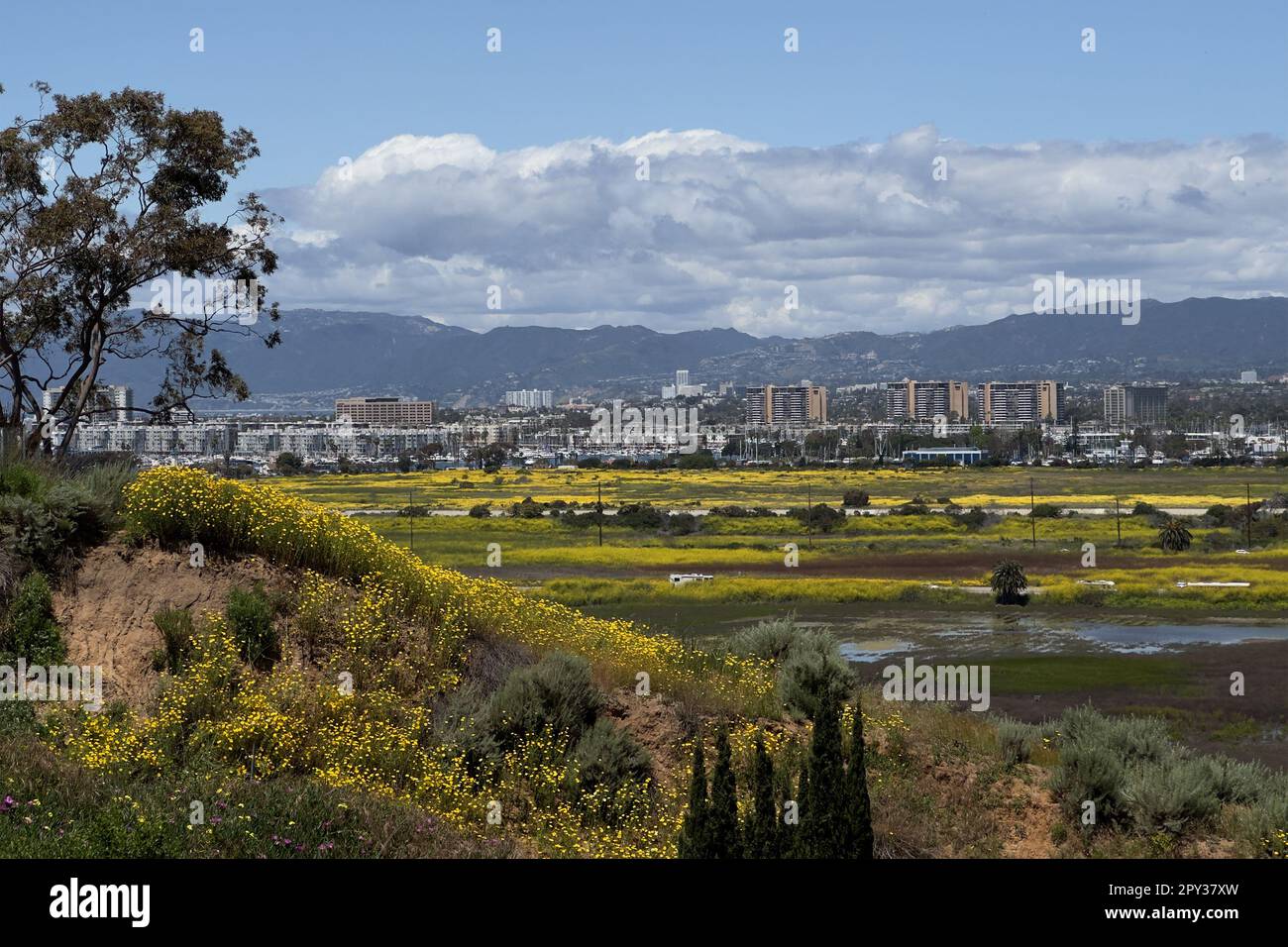 Los Angeles, California, USA. 2nd May, 2023. A view of the Ballona ...