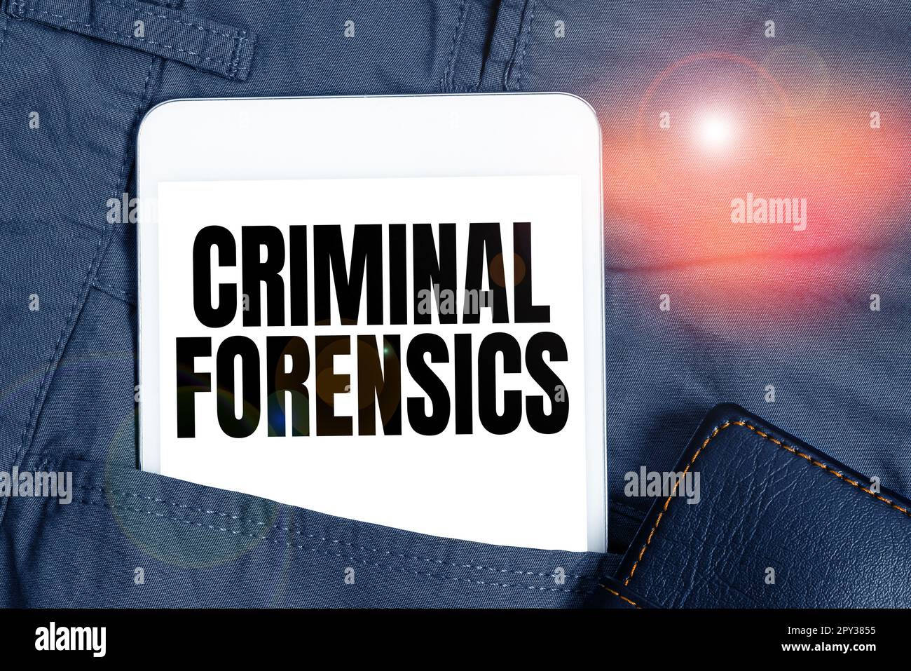 Conceptual display Criminal Forensics, Word Written on Federal Offense ...