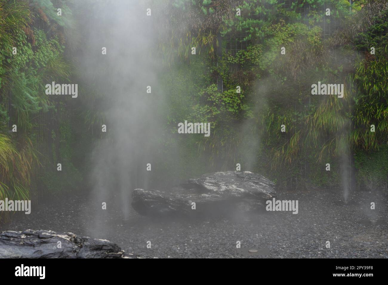 Artificial fog for plants in the garden Stock Photo - Alamy